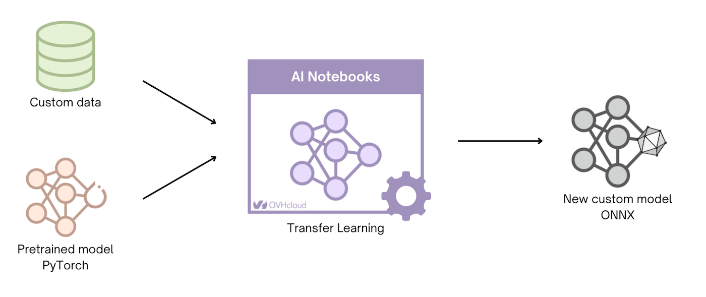 AI Notebooks - Tutorial - Fine-Tune and export an AI model to ONNX – Support Guides